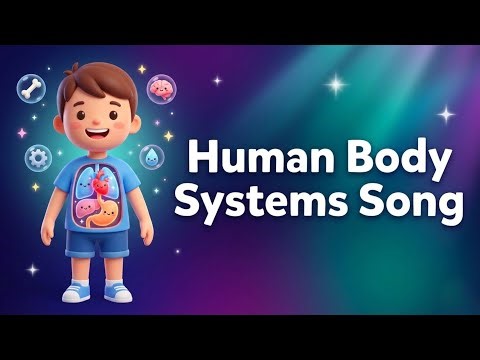 Human Body Systems Song for Kids | Learn Body Systems | Educational Song for Children