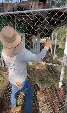 Instalación de malla ciclónica