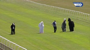 Proof, if you ever needed it, that you don't need many runners for an exciting race. 🤣🤣 Merry Christmas Eve everyone! | Racing TV