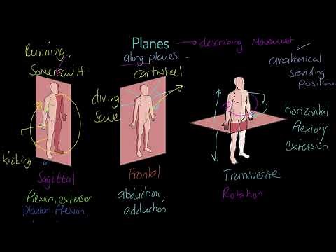 OCR A-level PE - Planes of Movement