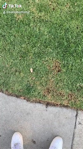 הבאתי חברה הכי טובה שלי אבן מהקצה השני של העולם😍 (צבעתי אותה באמצע חחח)|תרשמו חבר/ה שהייתה נסחבת עם אבן חודש😂 #foruyou #bff