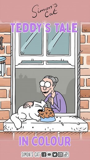 Simon's Cat on Instagram: "Adopted from the streets! Showing love to all the feral cats out there...❤️"