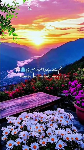 Most Romantic Status Video | Tumse Din Mere Tumse Ratein ✨ #status