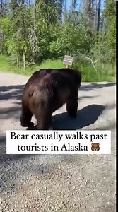 1.1M views · 3.4K shares | This woman had her first driving lesson and I don't think she enjoyed it | UNILAD | Facebook