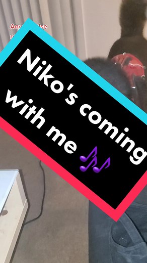 TheDesk (@desk.of.alto.clef)’s videos with original sound - TheDesk