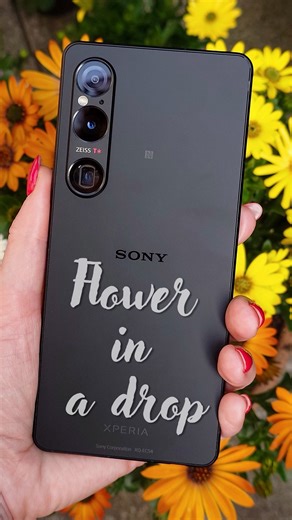 579K views · 6.9K reactions | Captured by Poland creator Dominika...