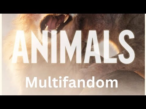 Multifandom ll Animals (Maroon 5)