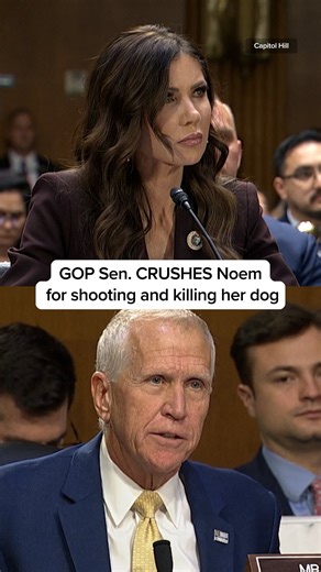 Sen. Thom Tillis, R.-N.C., blasts DHS Secretary Kristi Noem during a public Senate hearing over a slate of what he considers “bad decisions” related to Noem’s own admission of shooting and killing animals in order to “teach her a leadership lesson about tough choices.” #news #politics | MS NOW