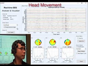 Real-time Automatic Artifact Rejection using REST 2.0