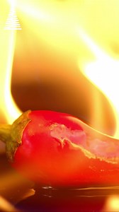 Can you take the heat? Sign up for the Hot Pepper Eating Contest at Flannel Fest! Link in the bio. | Champaign Park District | Facebook