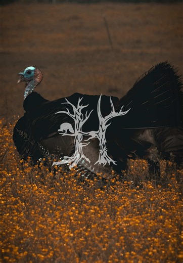 Essential Skills for Successful Turkey Hunting