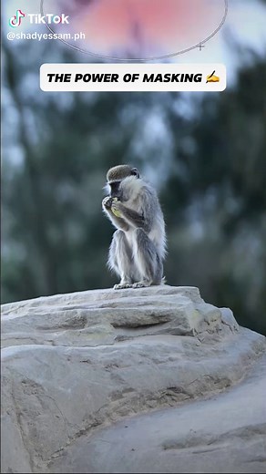 The Power of Masking! ✍️ ⬇️ Want to take your photos to the next level? Here are some essential editing tips to transform your snaps into captivating masterpieces. • My masking process to make photo more dynamic : - Subject: I usually start with my subject and correct things like shadows and exposure. - Background: I’ll usually then darken my whole background slightly so my subject stands out more. - Foreground: I’ll then darken the foreground to bring the viewers attention into my subject. - Hi