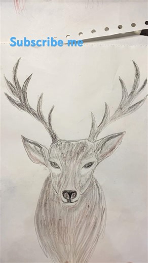 Stag Deer Drawing with Pencil ✏️ | Relaxing & Satisfying Art