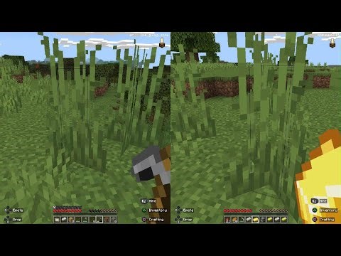 WWE survival with mods