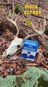 Rope-A-Dope Mock Scrape Setup