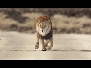 Lion Running Animation | Smooth Jogging Cycle