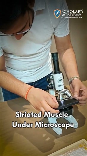 Human Muscle Under Microscope – You Won’t Believe This! #MicroscopeView #StriatedMuscle #BiologyLab