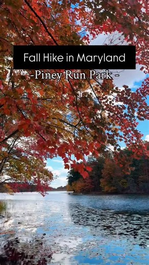 Leah Seeling| East Coast Enthusiasts on Instagram: "Piney Run Park ⏰March to November 30th - open 7 days a week from 7 am to sunset December 1 to February 28th Monday-Friday | 7 am- 4 pm Saturday, Sunday, and Holidays | Closed 📍30 Martz Road, Sykesville, MD 21784 ☎️Park Office: 410-795-5165 Boat House: 410-795-6385 Nature Center: 410-795-6043 Email: pineyrunpark@carrollcountymd.gov 💰 price per car $6 Carroll county residents $12 out of county residents $75 cc bus load / $100 out of county bus