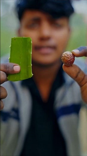 I Made Natural Shampoo From Aloe Vera #aloevera