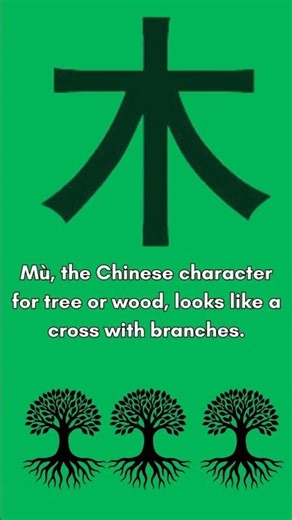 From One Tree to a Forest: Chinese Characters Explained | Bite-Sized Mandarin