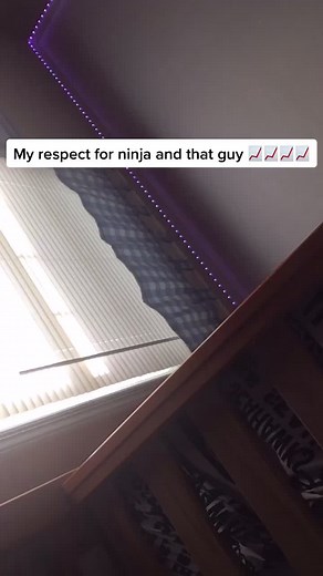 #greenscreenvideo They both spittin fax #fouryoupage#charlidameliosucks#ninja#gocry#funny#meme#viral