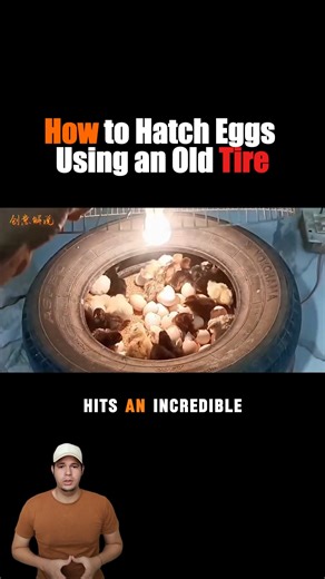 How to Hatch Eggs Using an Old Tire #DIYIncubator #HatchChicks #HomemadeHatchery #OldTireHack #FarmLifeDIY