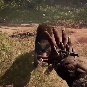 88K views · 1.6K reactions | How to tame a wild animal Credit - https://www.youtube.com/user/HowToBasic | G FragHero | Facebook