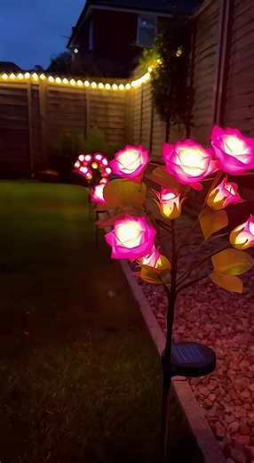 5 Head LED Solar Power Rose Lighting: A Must-Have!