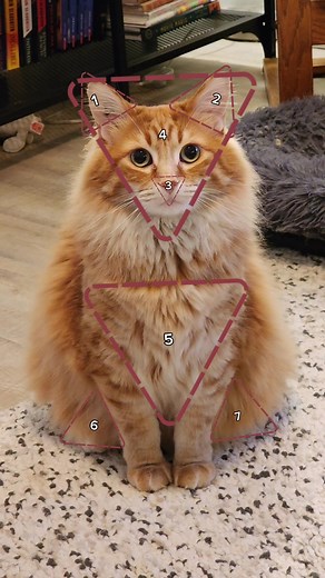 Counting Triangles Challenge: How Many Triangles Can You Spot?