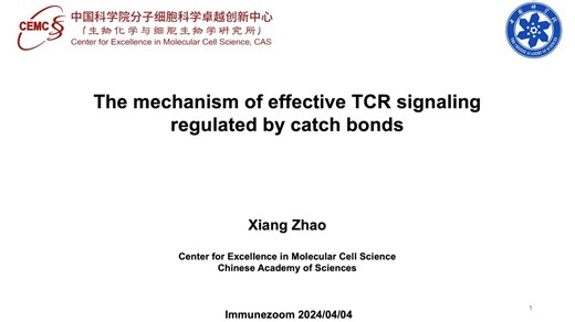 The mechanism of effective TCR signaling regulated by catch bonds