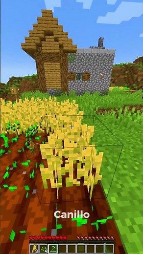 Minecraft Cool Mods 😎 Part 205