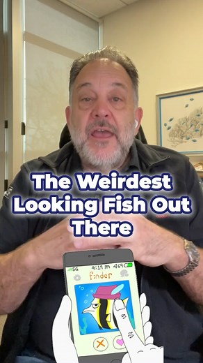 4.7K views · 25 reactions | The Weirdest Looking Fish Out There In...