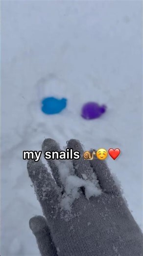 LEAVING MY ORBEEZ IN THE SNOW FOR 24 HOURS! 😱🥶 *rip squishy fidgets*