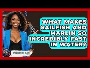 What Makes Sailfish And Marlin So Incredibly Fast In Water? - Epic World Record Holders