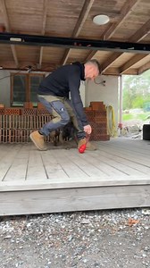 Learn how to train a focused and reliable passive indication for detection and tracking dogs! The package includes the full online course that shows you all the steps of how to train a sit and stare indication for detection and tracking dogs. All the steps includes both short theoretical and practical instructions. The course starts with a module of reward development and other preparations that are needed to start up the indication training. The package also includes five full and updated webin