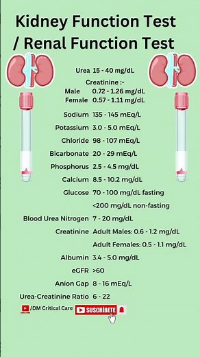 Kidney Function Test | RFT | KFT | kidney test / gfr #kidney #kft #rft #gfr