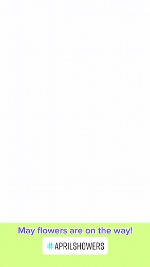 Just a few days until those May flowers and Betty’s so ready for it! 🌸 🌺 #aprilshowersbringmayflowers #springvibes #bettyboop #booplove