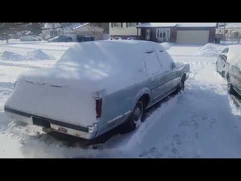 Starting The Blue '89