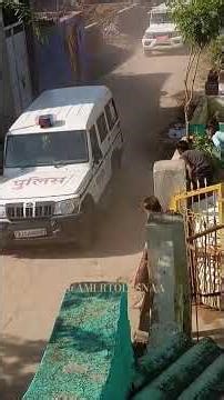 Collector Royal Entry in my Village | ‪@AMLRTOLBSNAA‬#ias #ips#upsc #dmcar #entrystyle #motivation