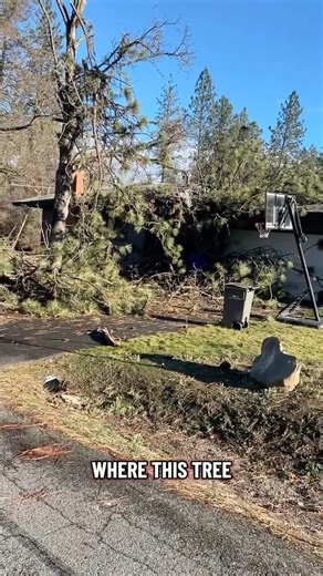4 News Now - KXLY on Instagram: "Families across North Spokane are facing power outages as fallen trees continue to damage power lines. Near the intersection of Alberta and Waikiki, a tree fell onto the road and a nearby home, causing significant damage. #4NewsNow #WindStorm #LocalNews"