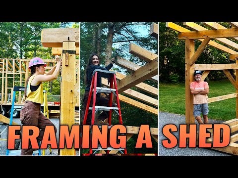 DIY Timber Framed Backyard Shed Construction