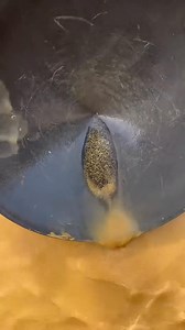 How to remove gold from soil | Fact's Ocean