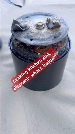 Kitchen sink disposal #insinkerator #diy #repair #fixit