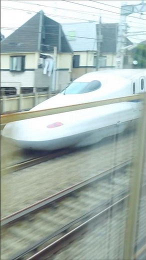 Parallel Running with a Bullet Train, Tokyo, Japan, November 2025