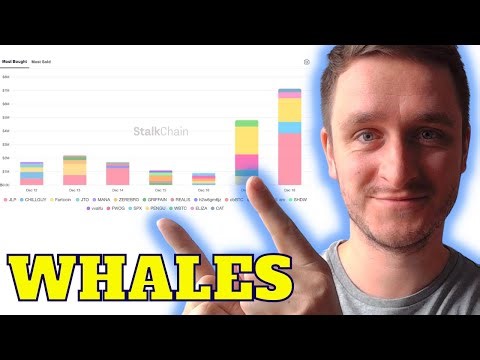 Find Trending Meme Coins on Stalkchain