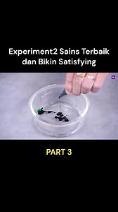 #eksperimensains #scienceexperiments #belajarsains #sains #belajarfisika #fisika #faktamenarik #faktaunik #faktafilm #faktasains | Sains Teknologi