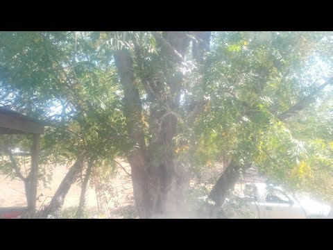 Waveform collapse and using superposition