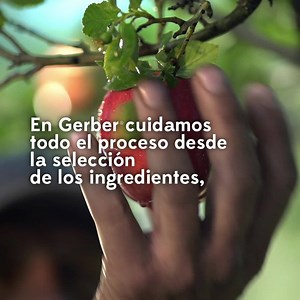 Conoce todo el proceso de elaboración de nuestras papillas y cómo logramos que tengan siempre la misma textura y la mejor calidad. | Gerber México