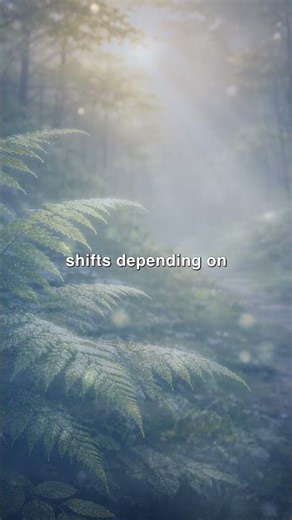 ACIM Lesson 35: My mind is part of God's. I am very holy.