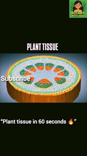 Types of Plant Tissues 🌱 | Meristematic vs Permanent | Quick Biology